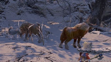 Anteka Details Drops And Location Monster Hunter Rise Mh Rise Mhr