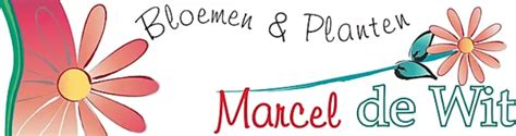 Marcel De Wit Bloemen And Planten