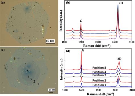 a optical microscope image of monolayer graphene domain ~240 µm download scientific diagram