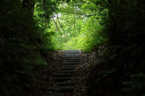 楽園へのあゆみ ある日の写真
