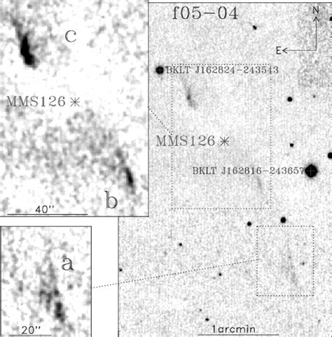 The Mass Function Number Distribution By Mass And Location Of The