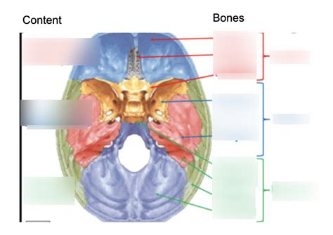 Ba16 Diagram Quizlet