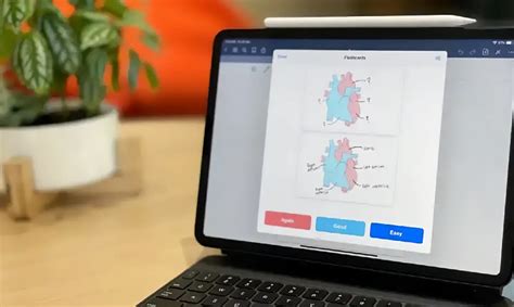 How To Study More Effectively With Digital Flashcards Goodnotes Blog