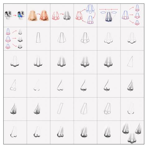 How To Draw A Nose Step By Step Guide Artlex