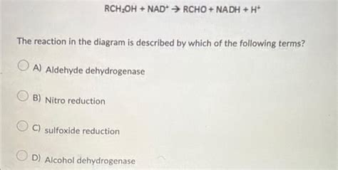 Solved Aflatoxin B 1 Afb1 Is One Of The Mycotoxins