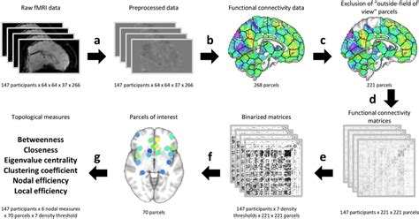 Resting State Functional Connectivity Analysis Pipeline Preprocessing