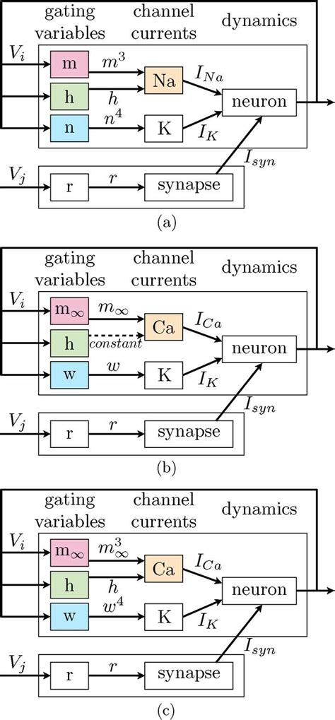 The Neurodyn Analog Vlsi Programmable Neural Emulation Platform