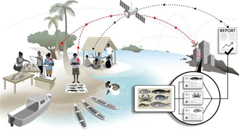Leveraging Deep Learning And Computer Vision Technologies To Enhance Reisel González Pérez