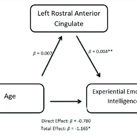 Path Diagram Of The Causal Mediation Of The Rostral Anterior Download Scientific Diagram