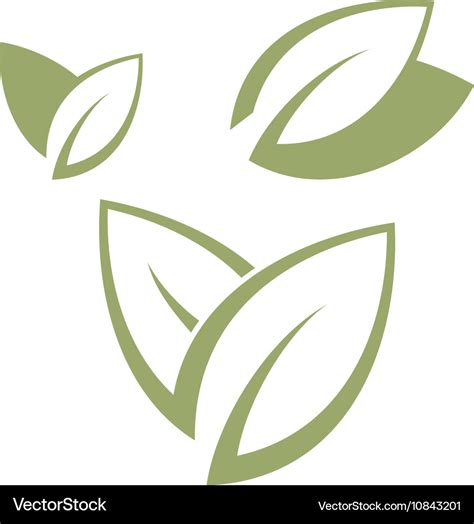 Bay Leaf Royalty Free Vector Image Vectorstock