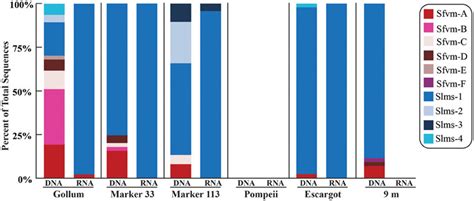 Relative Abundance With Taxonomic Affiliation Of The 15 Soxb Gene Otus Download Scientific