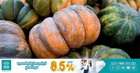 ហេតុអ្វីបានជាជប៉ុន ហៅផ្លែល្ពៅថា «កាប៉ូចាក់ ស្រដៀងពាក្យ «កម្ពុជា