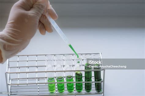 과학자는 화학 실험실에서 천연 제품 추출 및 녹색 색상 솔루션을 테스트하고 있습니다 실험실에 대한 스톡 사진 및 기타 이미지 실험실 과학 과학 실험 Istock