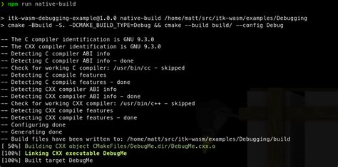 How To Debug WASI Pipelines With ITK Wasm