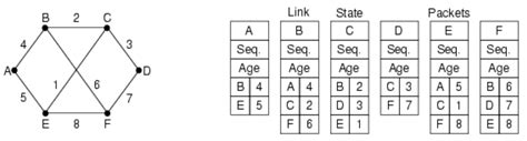 [computer Network] Link State Routing Ospf And Lsa