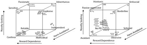 Central Sensitization And Chronic Pain Personality Profile Is There