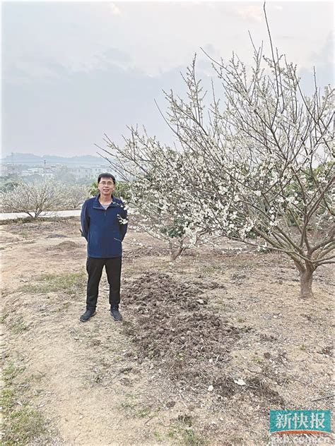 驻潮州市潮安区金石镇工作队队员周炜均：笃行实干推动潮州特产“走出去” 新快网 新快报官方网站