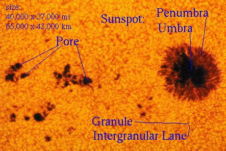 Apod 2023 November 19 Space Station Solar Prominences Sun