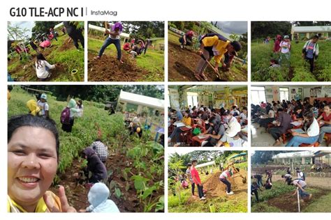 G10 Tle Horticulture Sankanan Nhs Facebook