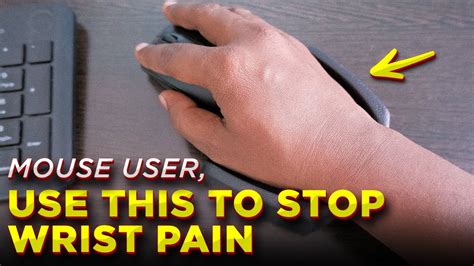 Difference From Mouse And Rat