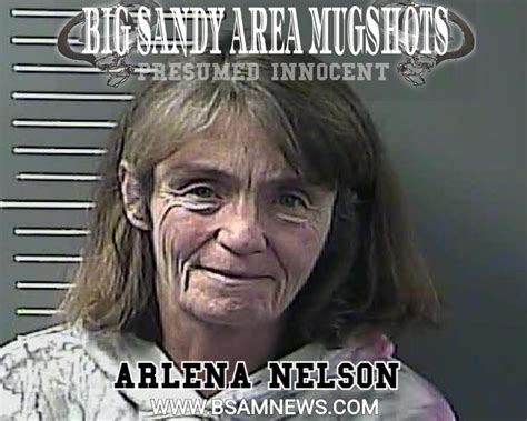 Arlena Nelson Big Sandy Area Mugshots News