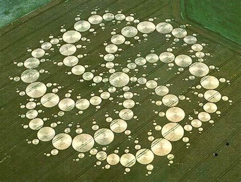 The Mysterious Crop Circle Save Our Green