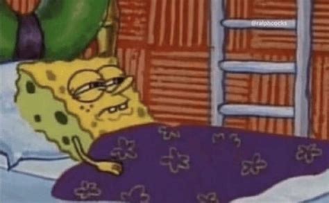 Spongebob Meme Spongebob Funny Spongebob Spongebob Memes