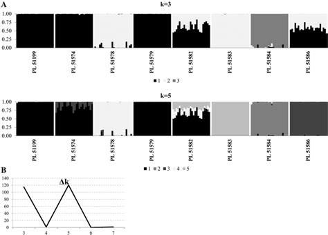Population Structure And Diversity Analysis For 192 Individuals Of