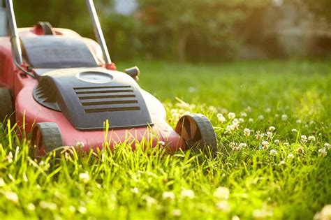 What Is Rust RDS Lawn Care