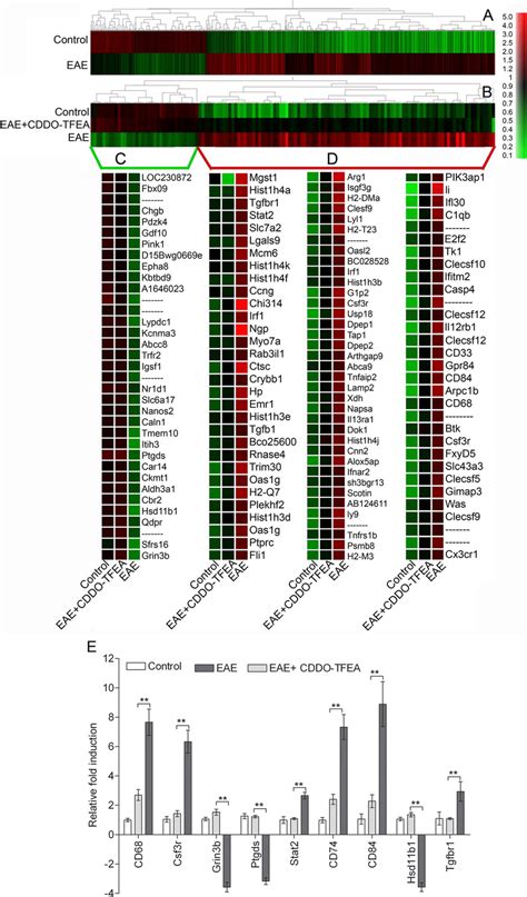 Microarray Analysis Of Cns Tissues Reveals Global Suppression Of