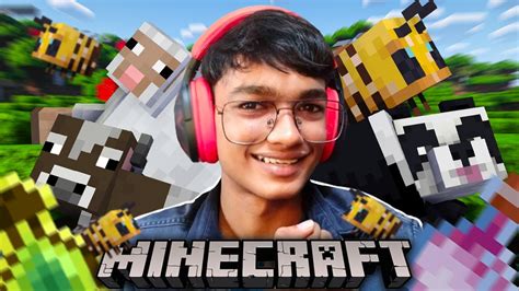 Minecraft Youtube