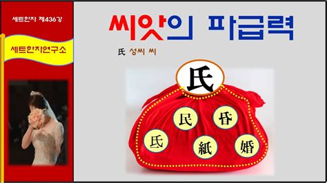 세트한자 제436강 성씨 씨 관련 세트한자 생명을 유지하고 발전시키는 씨 Youtube