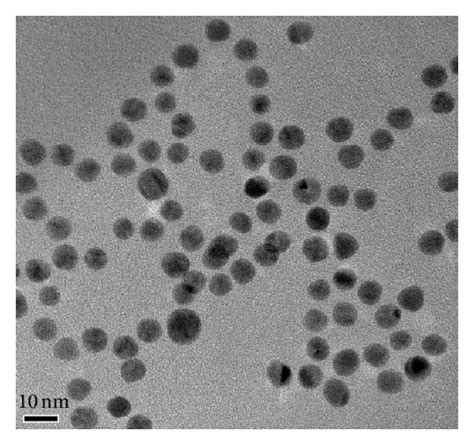A XRD Pattern And B TEM Image Of The Synthesized AuNP L Download Scientific Diagram