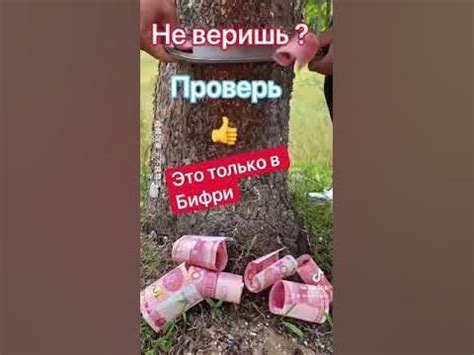 Бифри. - YouTube