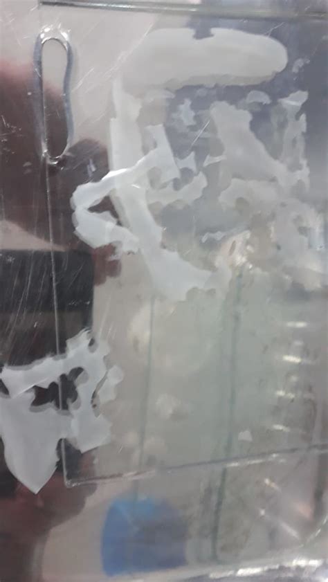 Why Sulfonated Poly Ether Ether Ketone Membrane Become Brittle After Casting On Glass Plate