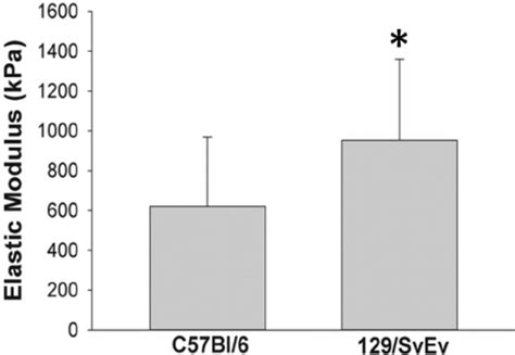 Elastic Modulus Of Aortic Tissues From C57bl 6 And 129 Svev Mice Prior Download Scientific