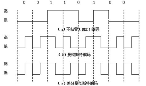 软考网络管理员备考知识点精讲之数据编码 网络管理员 希赛网