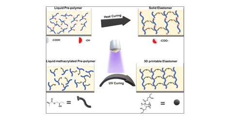 Highly Elastic Biodegradable Polyester Based Citrate Rubber For 3d