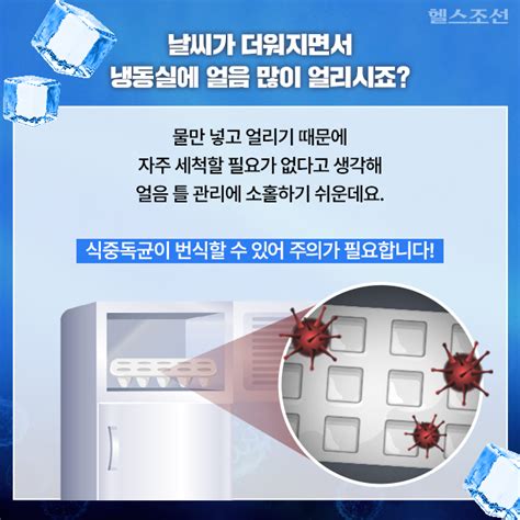 [카드뉴스] 세균 득실득실 냉동실 얼음 틀 관리법 당신의 건강가이드 헬스조선