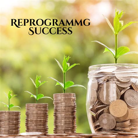 Reprogramming Success Sibato Home