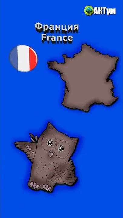 На что похожи страны Мира 🌎 Shorts фактум Youtube