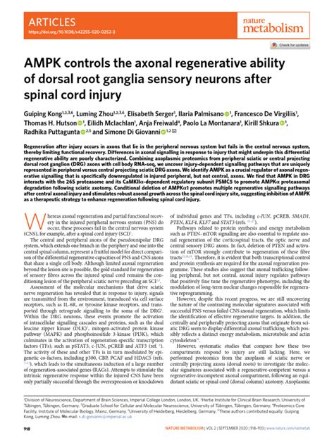 2020 Ampk Controls The Axonal Regenerative Ability Of Dorsal Root