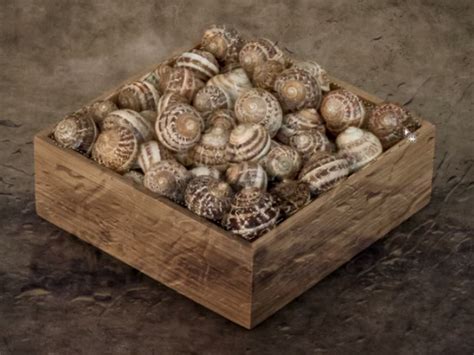 Η Adobe μας δείχνει πως να προσθέσουμε texture στις φωτογραφίες μας pttl gr