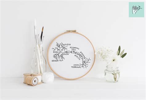 Neuron Embroidery Pattern Neuron Anatomy Medical Embroidery Etsy