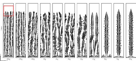 Figure 1 From Columnar Dendritic Solidification Of Tial Under Diffusive And Hypergravity
