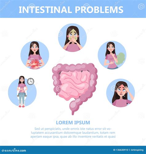 Problems In Intestine Thin Line Icon Health And Medical Concept Gut