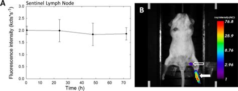 high fluorescence intensity in popliteal sentinel lymph node sln was