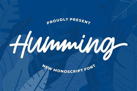 Humming Monoscript Font