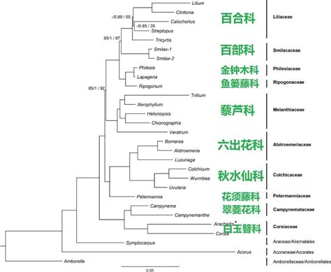 美丽却剧毒！秋天赏花，离它远一点 知乎