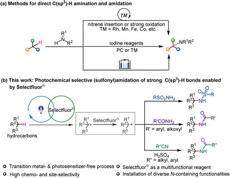 Selectfluor® Enabled Photochemical Selective Csp 3 Hsulfonyl